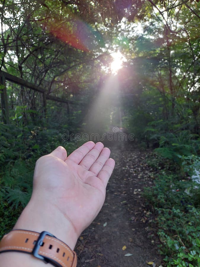 The Warm Touch of the Morning Sun in My Hand Stock Image - Image of ...