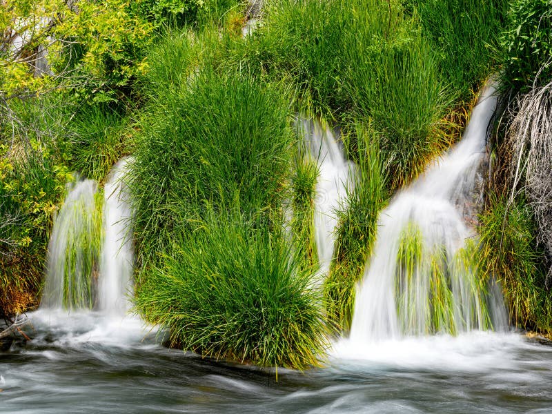 Warm Water Spring Flow Out of a Hillside Stock Image - Image of beauty ...