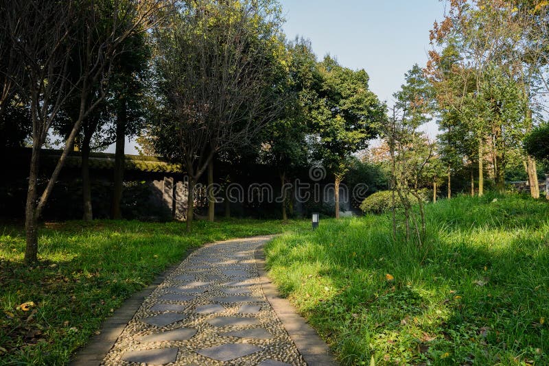 Warm Winter Morning Sunlight on Path in Grass Stock Photo - Image of ...