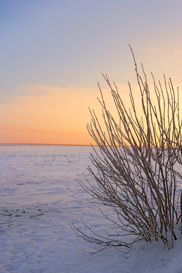 Sunset stock image. Image of background, island, indonesia - 1837589