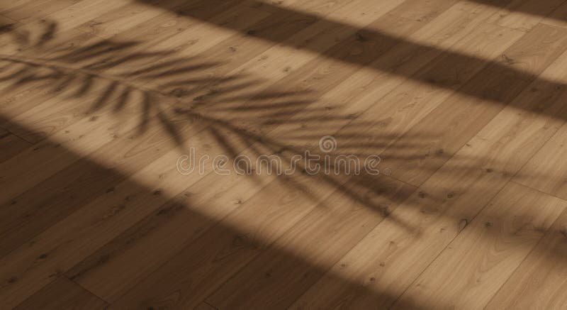 Warm Wood Floor with Tropical Shadow a Natural Light Interior Design ...