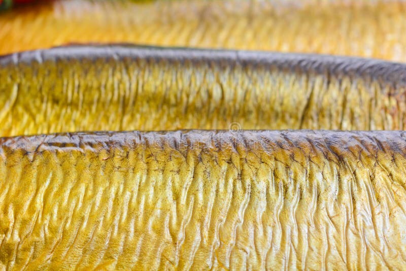 Warmgerookte Haring Op Plaat Stock Afbeelding - Image of voorgerecht ...