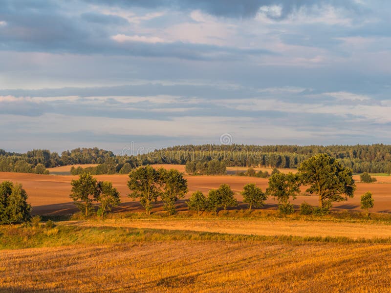 Warmia and Masuria. Poland stock photo. Image of grassland - 276210696
