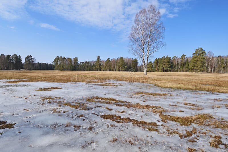 Warming with the Onset of Spring Stock Image - Image of white, blue ...