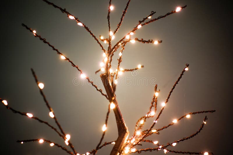 A Warmly Lit LED Lamp Tree with Sparkling Branches. a Warmly Lit LED ...