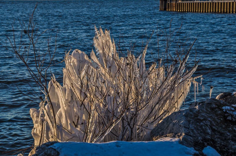 Warmth of the Sun in the Cold of Winter Stock Image - Image of cold ...