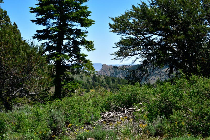 Warner Mountains, Modoc County, California Stock Image - Image of modoc ...
