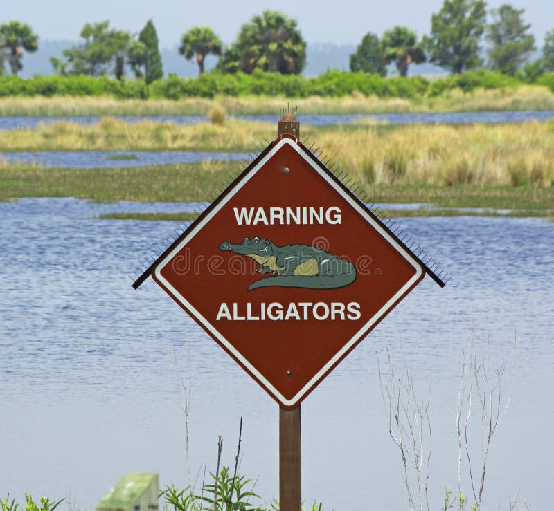 Warning Alligators stock photo. Image of sign, marsh - 14846020