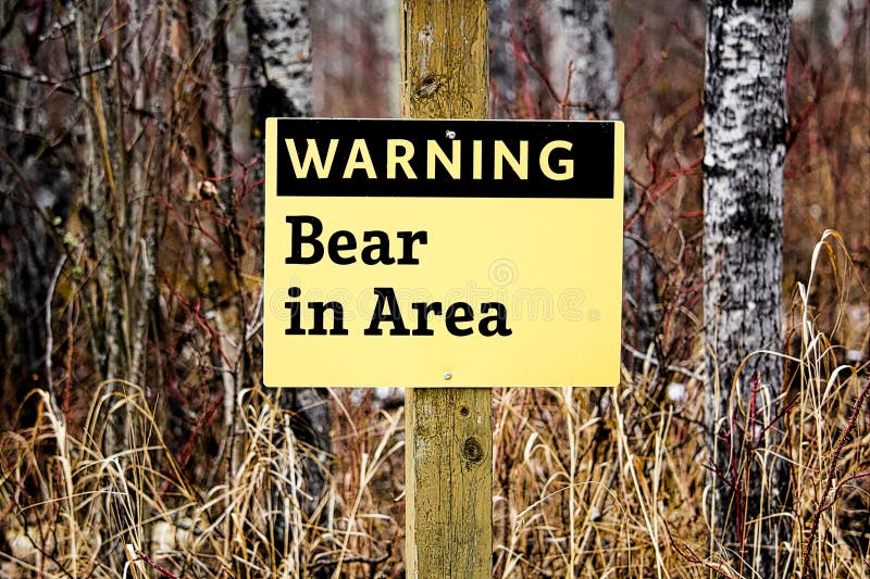 Warning Bear in Area sign stock image. Image of canada - 91083721