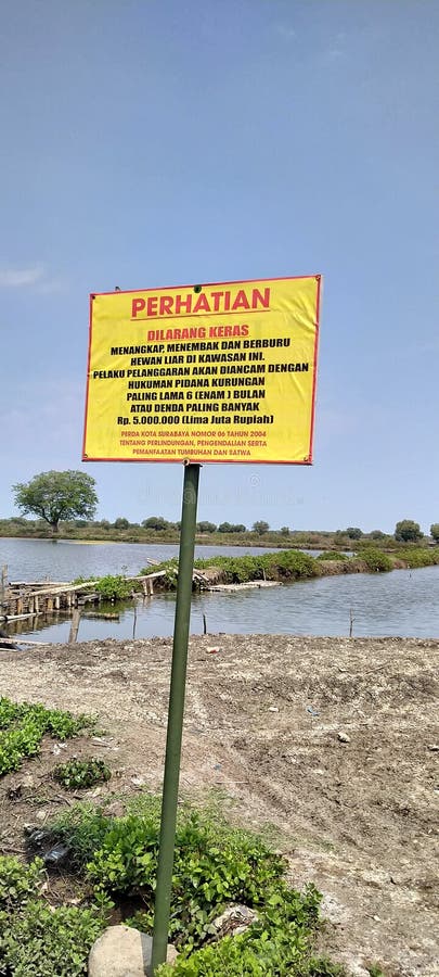 Warning board stock photo. Image of board, warning, front - 262110578