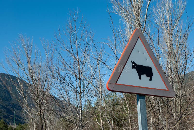 Warning Cattle Sign on the Mountain Stock Image - Image of wildlife ...
