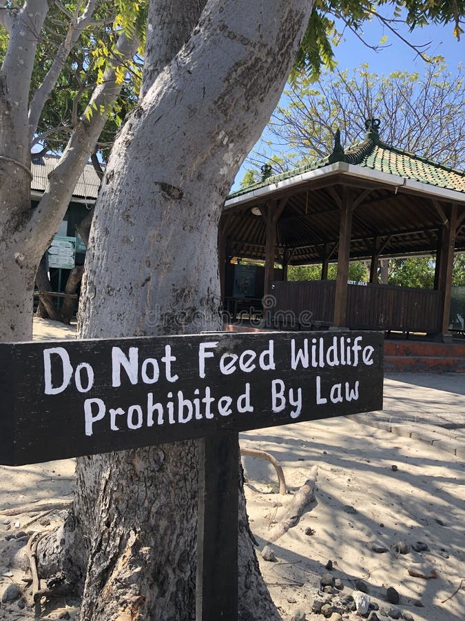 Warning stock photo. Image of feed, warning, wildlife - 266037786