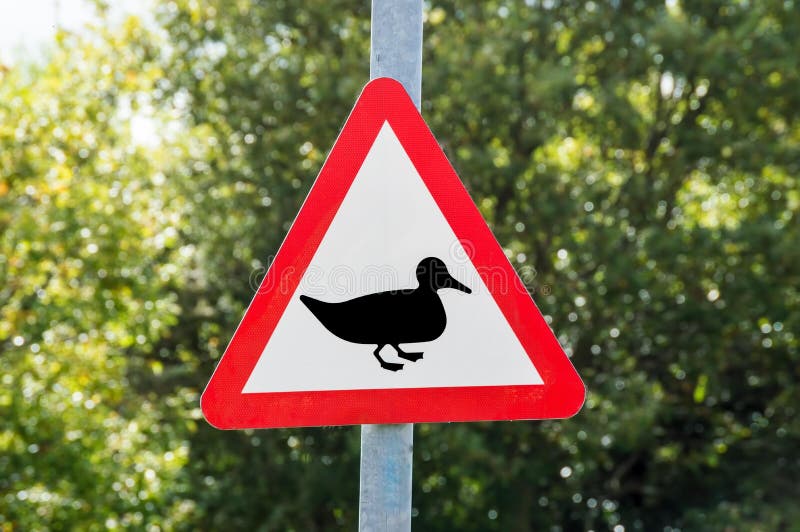 Duck Crossing stock photo. Image of warning, alert, metal - 240302