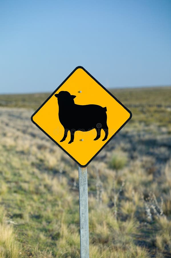 Warning from sheep stock image. Image of argentina, precaution - 4848865