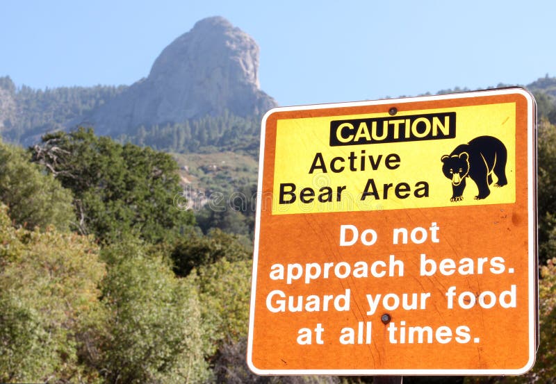 Caution Bear in Area Sign stock image. Image of warning - 60828931
