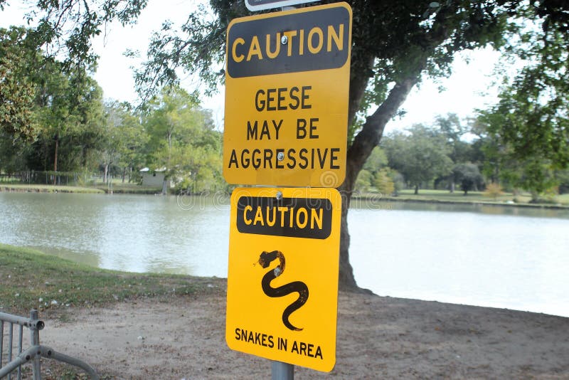 Warning Sign for Aggressive Geese and Snakes Stock Image - Image of ...