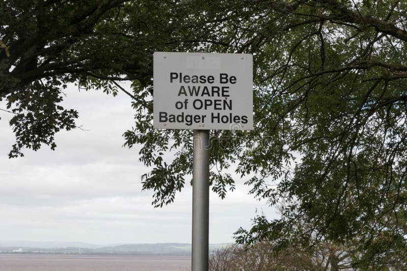 Warning sign for badgers stock photo. Image of holes - 101951576