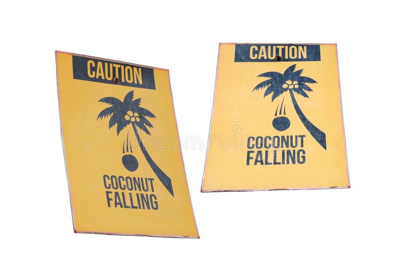 Warning Sign Beware of Falling Coconut Old and Dirty Condition Isolated ...