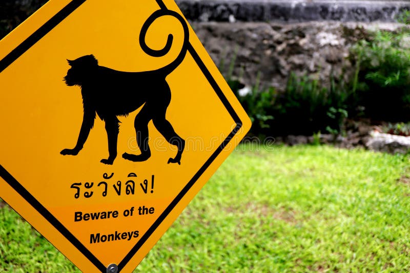 Beware Monkeys Danger Sign Stock Photos - Free & Royalty-Free Stock ...