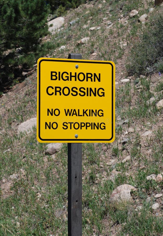 Warning Sign: Big Horn Sheep Crossing Stock Image - Image of protect ...