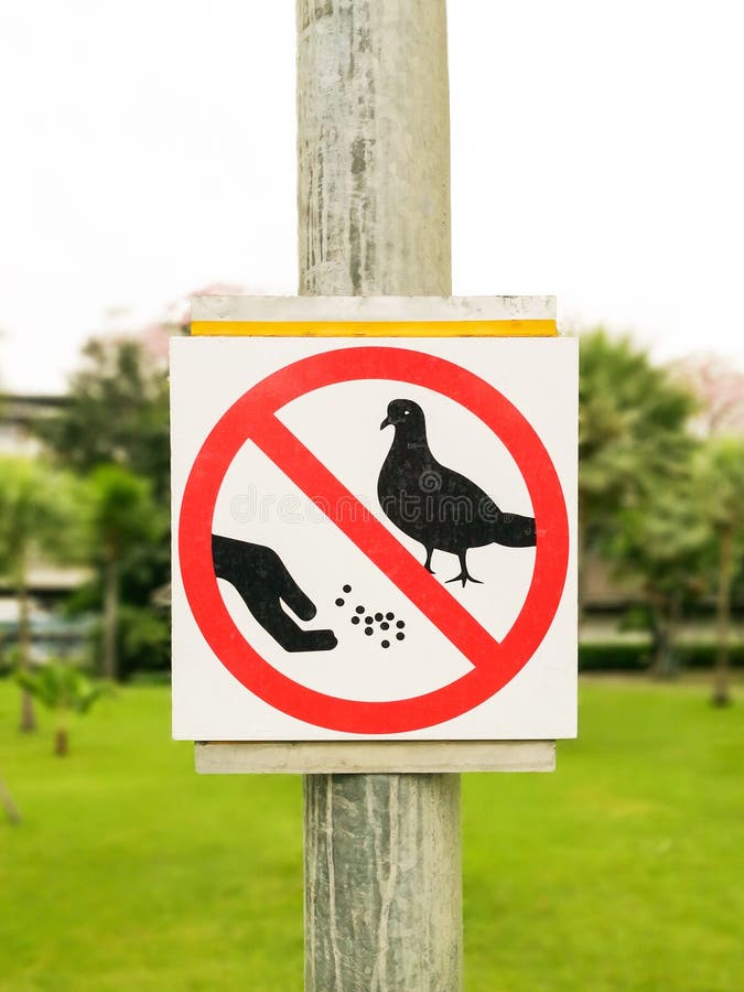 Warning Sign Do Not Feed Birds in Park Stock Image - Image of bird ...