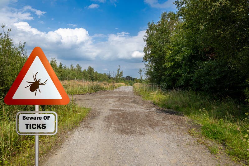 Tick Warning Signs