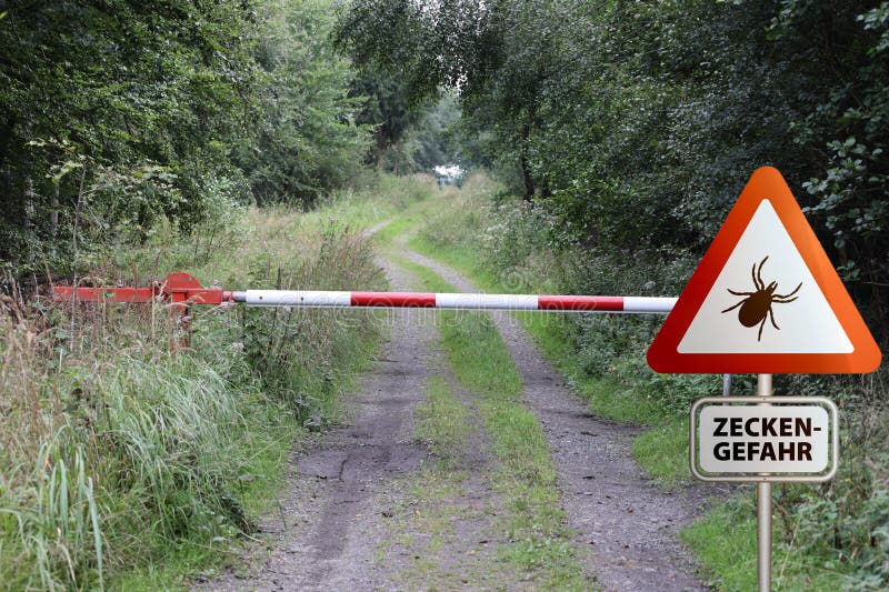 Warning Sign for Infected Ticks in a Forest. Risk of Tick and Lyme ...