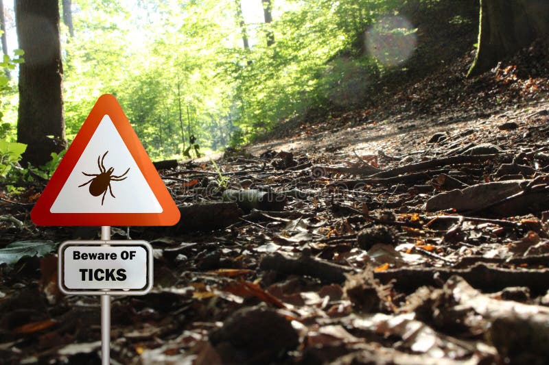 Warning Sign for Infected Ticks in a Forest. Risk of Tick and Lyme ...