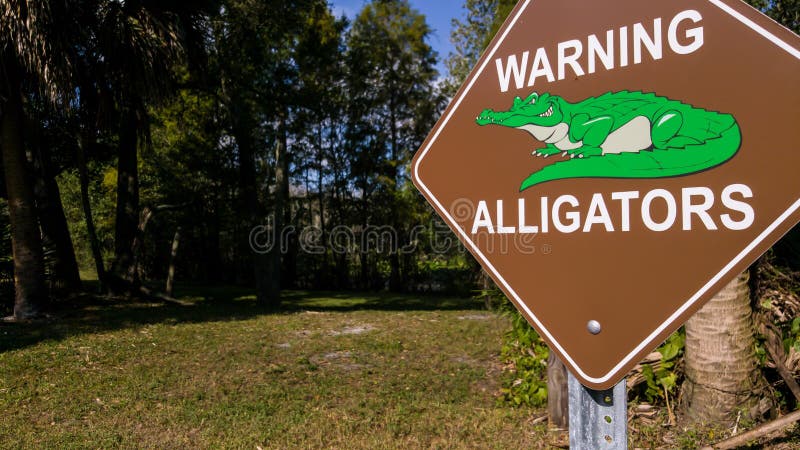 Gators Sign Stock Photos - Free & Royalty-Free Stock Photos from Dreamstime