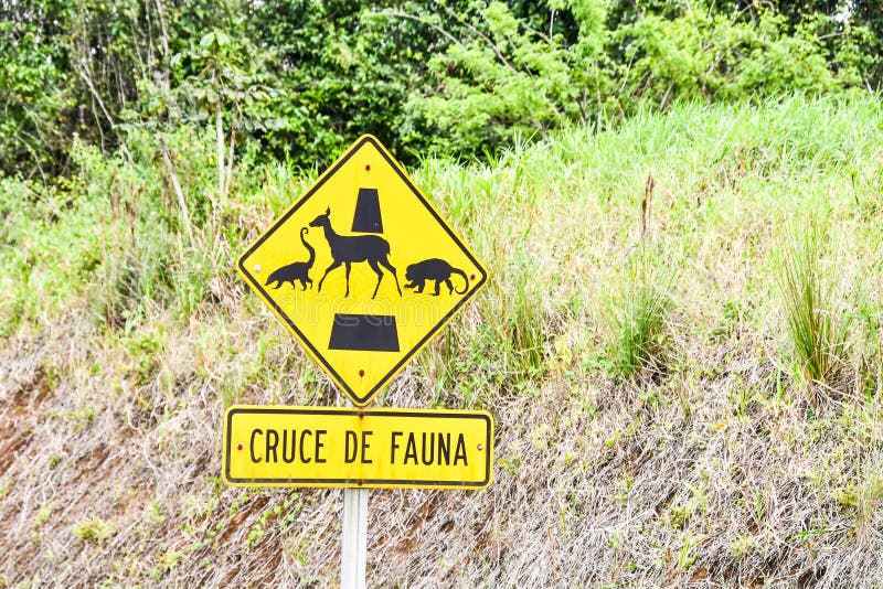 145 Costa Rica Road Sign Photos - Free & Royalty-Free Stock Photos from ...