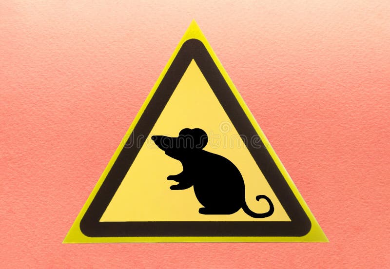 The Warning Sign is a Silhouette of a Mouse in a Yellow Triangle. Stock ...