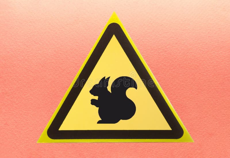 The Warning Sign is a Silhouette of a Squirrel in a Yellow Triangle ...