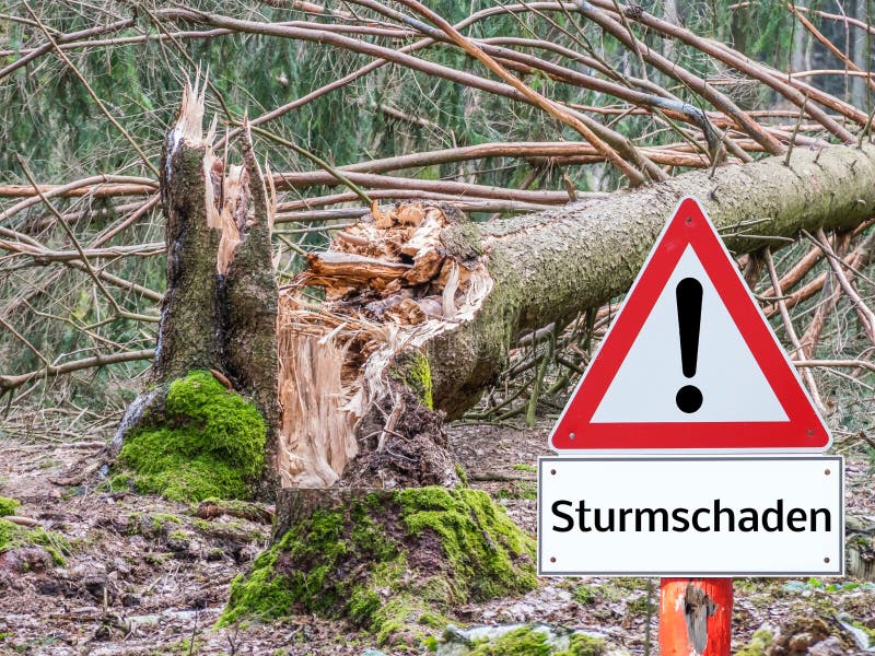 Warning Sign Storm Damage Tree in German Stock Photo - Image of forest ...