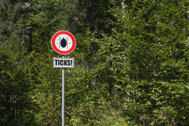 Warning Sign for Ticks in a Forest Stock Image - Image of lyme ...