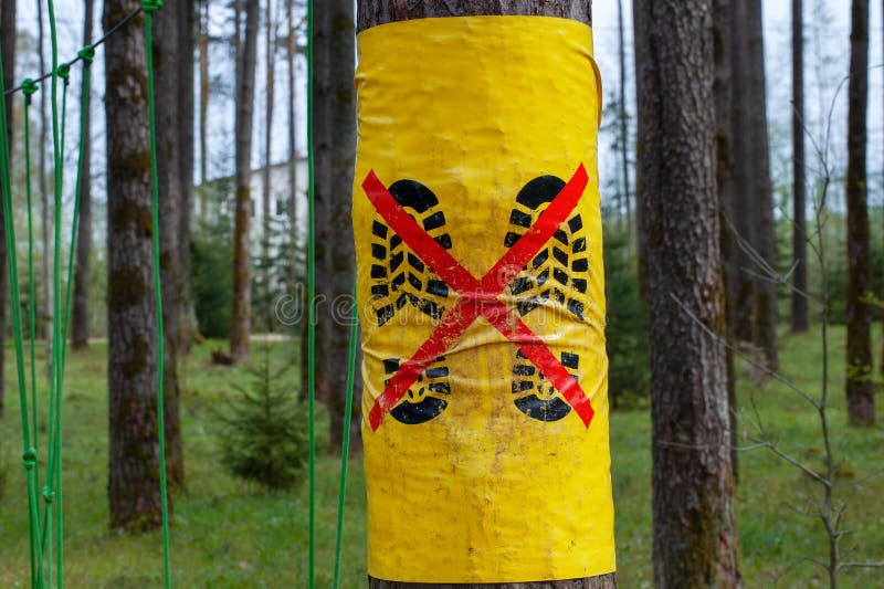 Warning Sign on a Tree in the Forest Stock Photo - Image of playground ...
