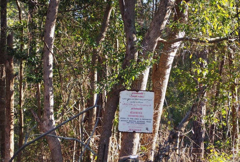 Warning Sign on a Tree in the Woods. Stock Photo - Image of random ...