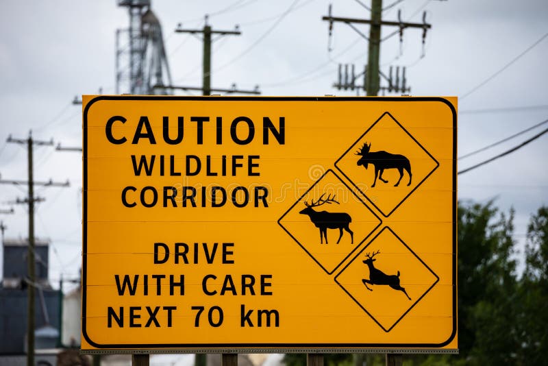 Warning Sign of Wildlife in Canada Stock Photo - Image of safety ...