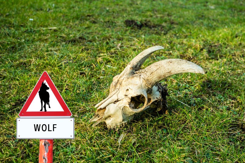 Warning Sign Wolf with Skeleton Stock Image - Image of antler, fence ...