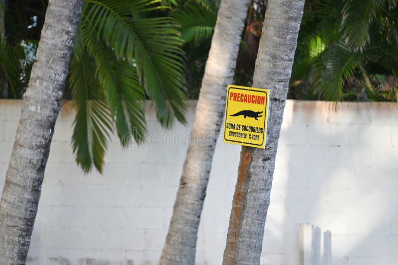 Warning signs on beach stock image. Image of attention - 354938779