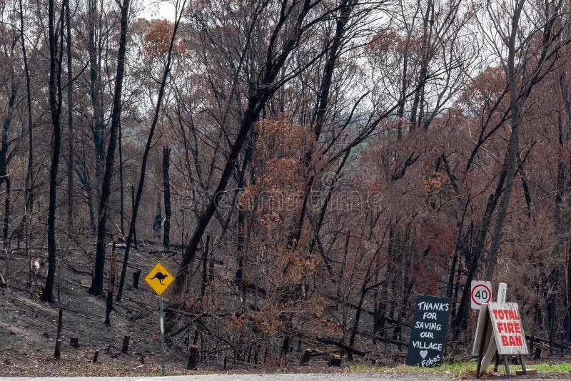 Warning Signs in a Burnt Forest after a Bonfire Stock Photo - Image of ...
