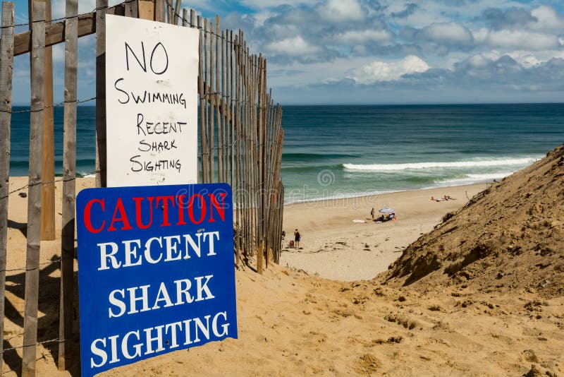Great White Shark Warning Signs Stock Photo - Image of east, caution ...