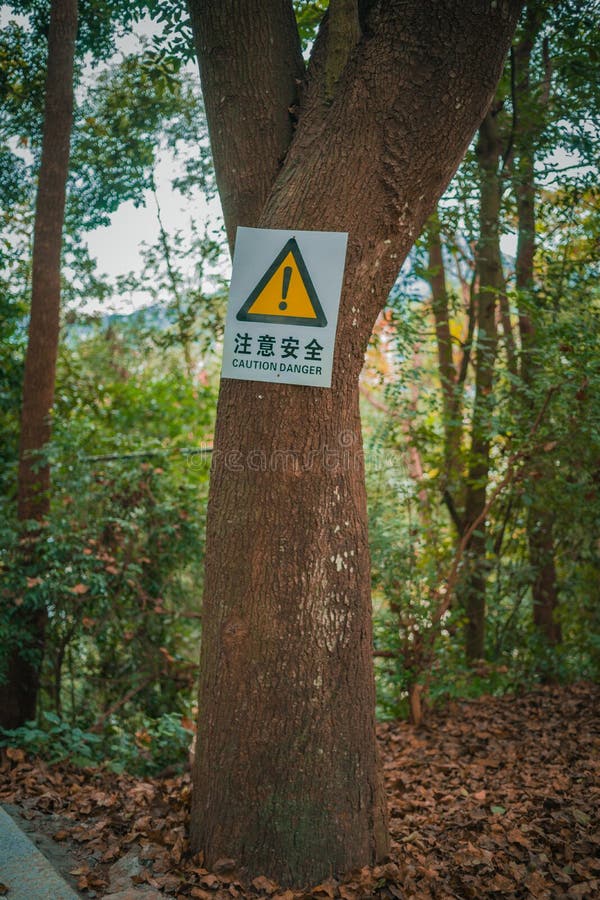 Warning Signs on Tree Trunks Stock Image - Image of trunks, tree: 235831987