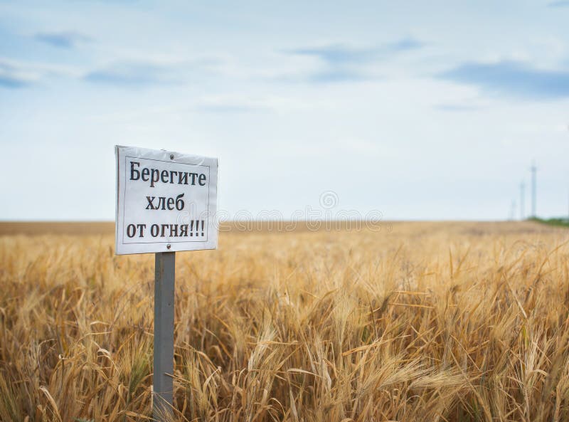 Warning on the wheat field stock image. Image of grain - 209318219
