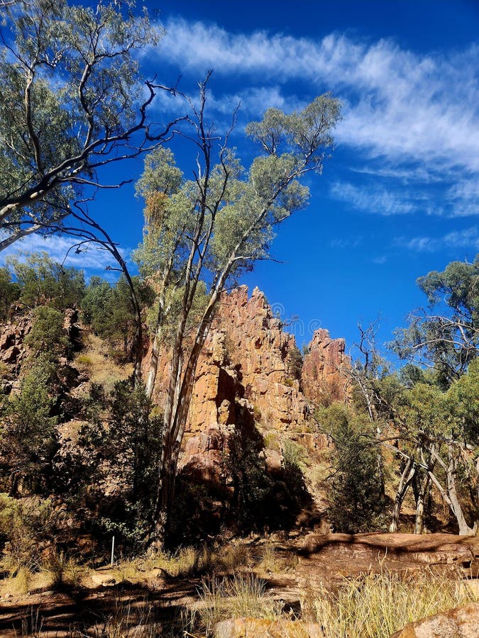 Warren Gorge, South Australian Flinders Ranges Stock Image - Image of ...