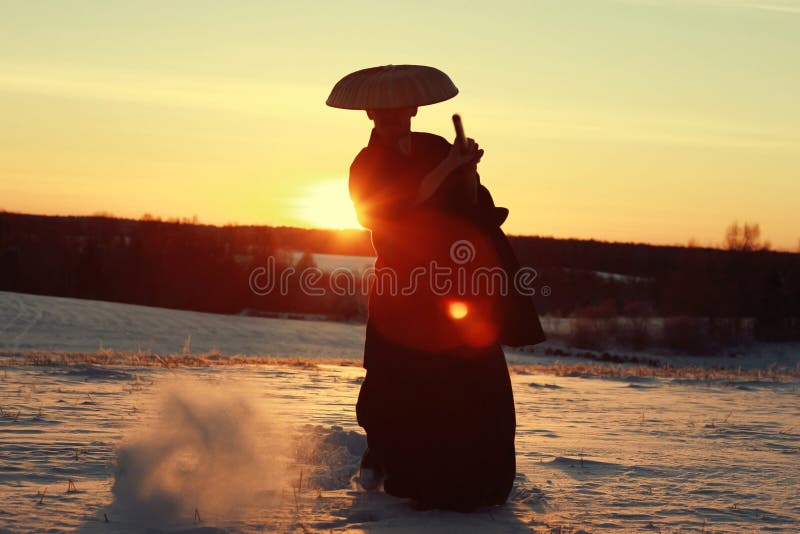 Warrior at sunset stock image. Image of freedom, macho - 41474085