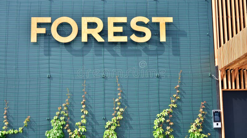 Building Promoting the Construction of the Complex Forest Office ...