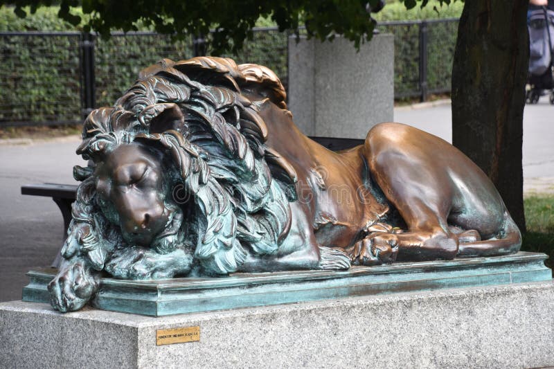 Warsaw Zoo in Poland stock photo. Image of brown, bird - 300456902