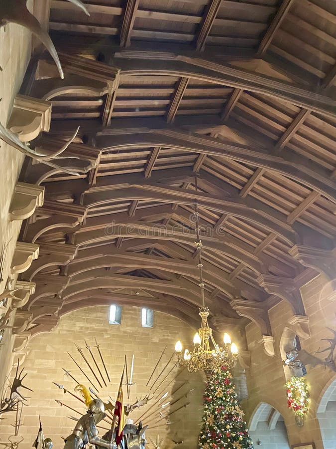 Warwick Castle Ceiling at Christmas Stock Photo - Image of travel, tree ...