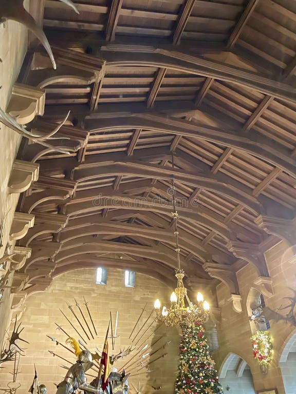 Warwick Castle Ceiling at Christmas Stock Photo - Image of travel, tree ...