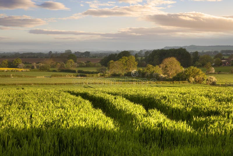 Warwickshire countryside stock photo. Image of warwickshire - 40992216